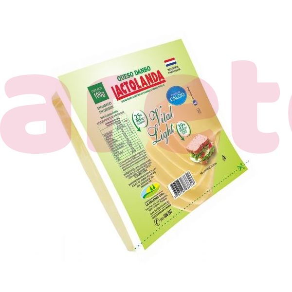 LACTOLANDA QUESO DANBO VITAL LIGHT FETEADO DE 100G