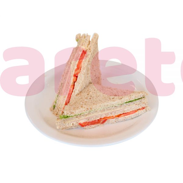 SANDWICH PRIMAVERA INTEGRAL